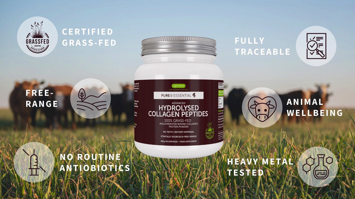 Advanced Collagen Supplement | Natures Purest NZ – naturespurestnz